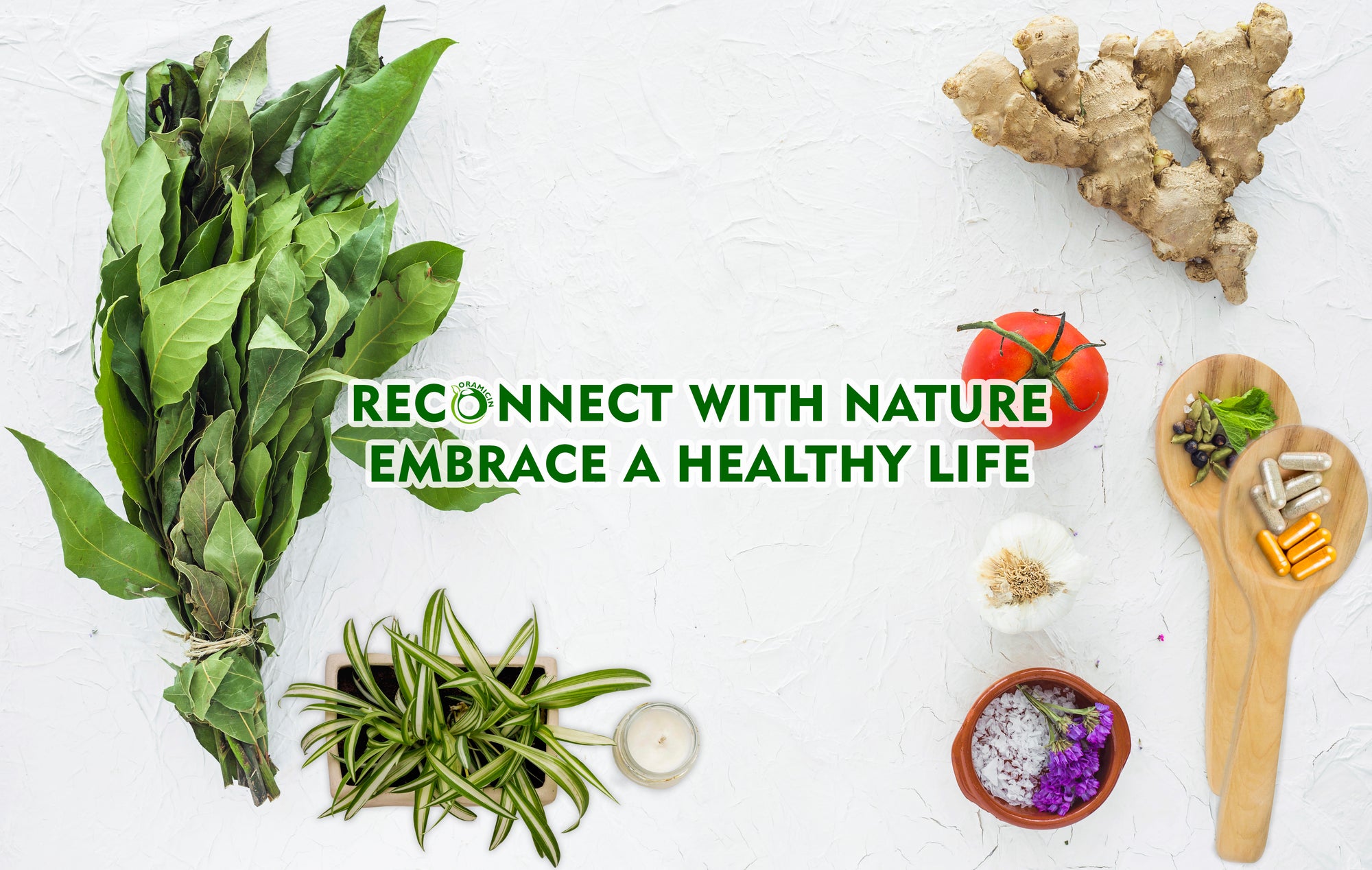 ORAMICIN – oramicin